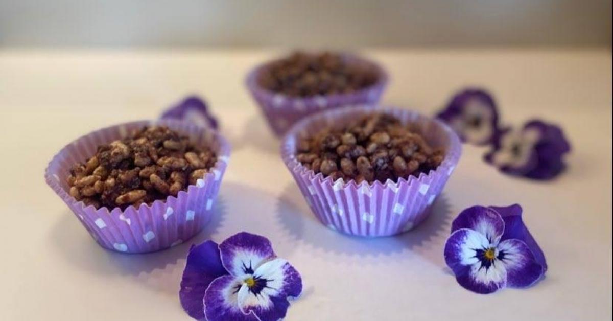 Janine's Chocolate Crackles (copha free) - Thermie and Friends by ...