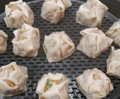 Steamed Mini Dim Sims by DisieB on www.recipecommunity.com.au