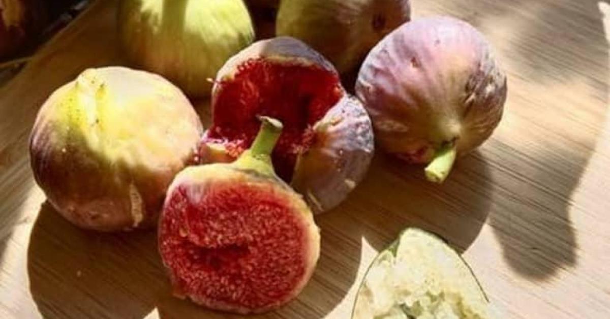 Fig and Finger Lime Jam by guest. A Thermomix ® recipe in the category ...