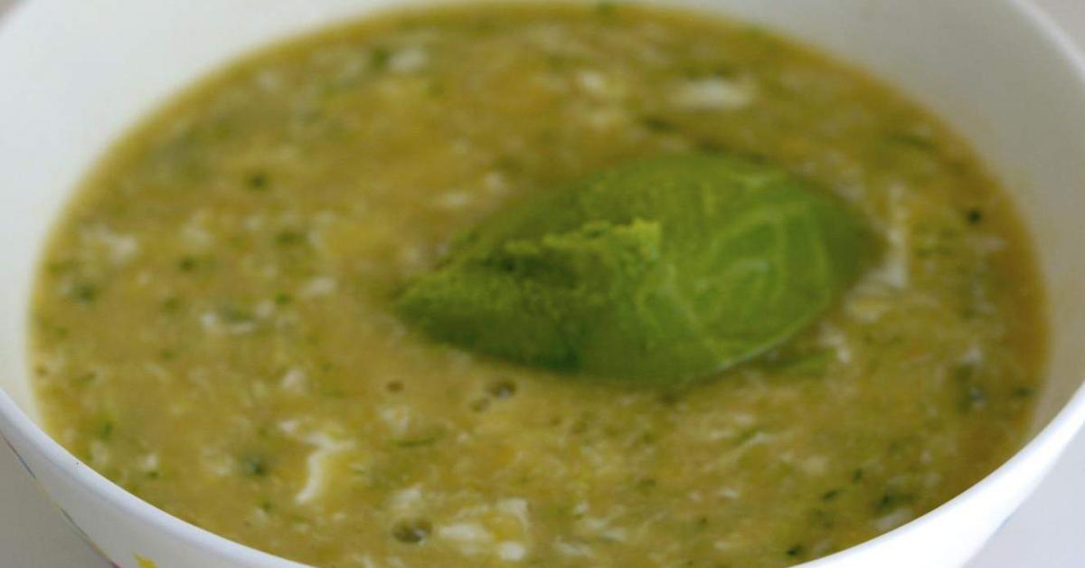 GAPS Baby Soup - Great way to get little kids to eat veggies by Stone ...