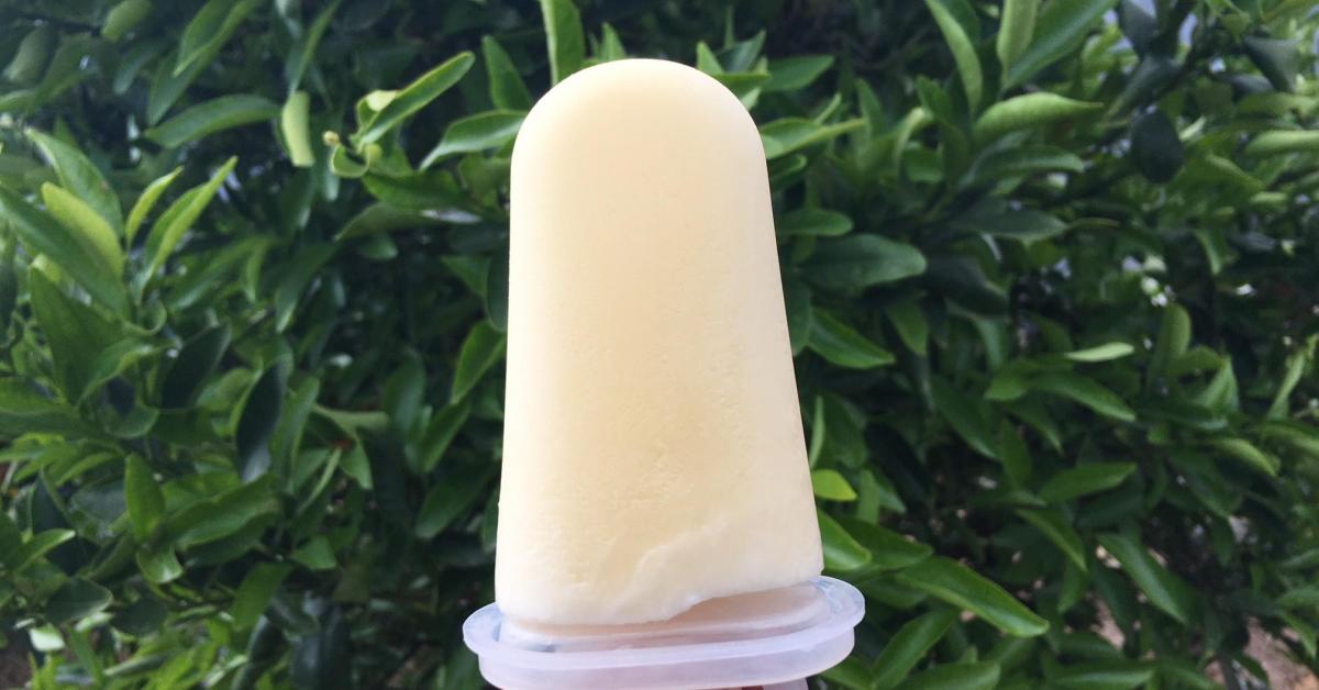 Milk Block Icy Poles - Traditional by akamkbt. A Thermomix ® recipe in ...