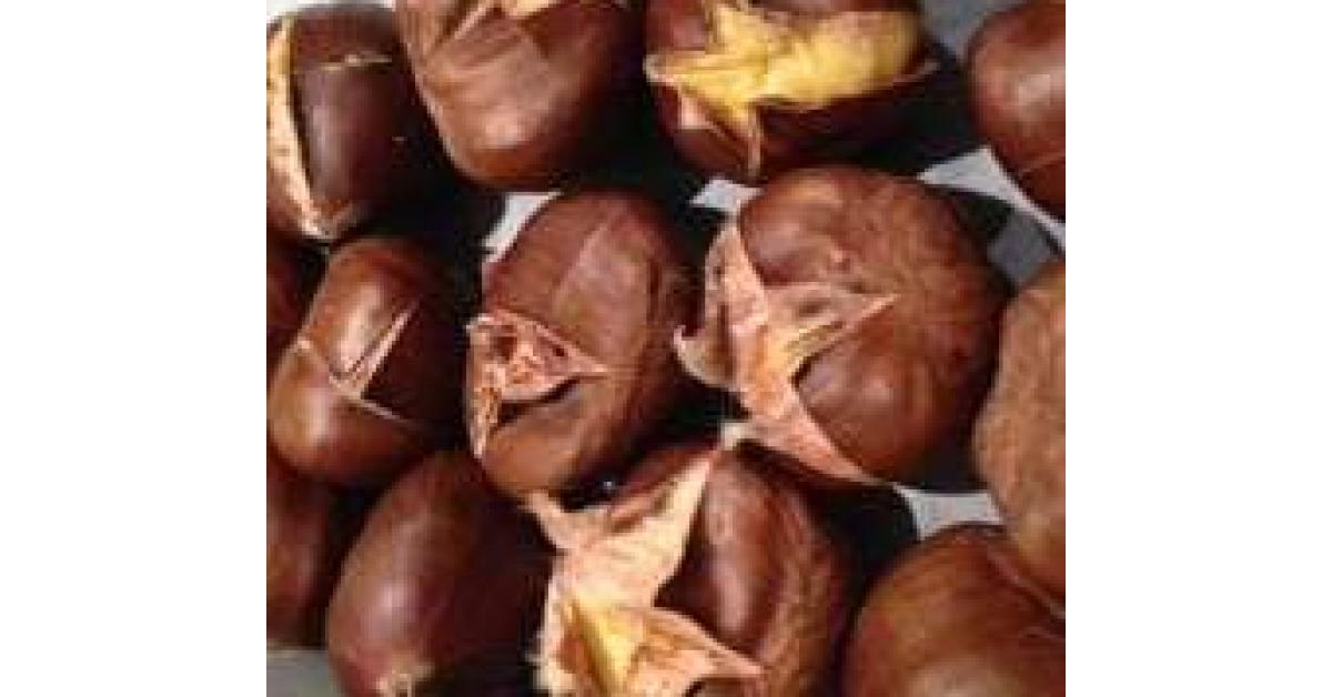 Sweet Chestnut Puree by The Thermominx. A Thermomix ® recipe in the ...