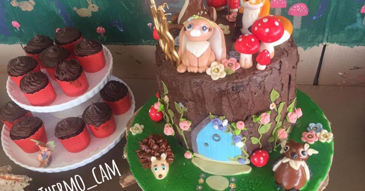 Best Ever Chocolate Mud Cake GAPS & Paleo Compliant by McDreamSteam. A ...