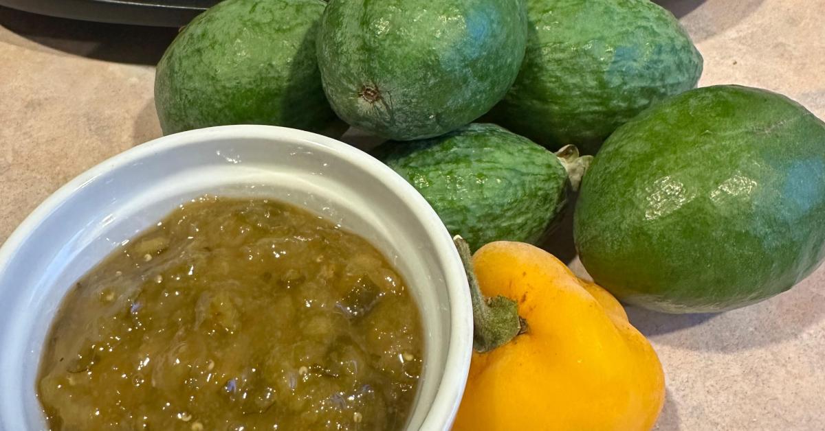 Feijoa, ginger and Chilli jam by SimonJuliusNZ. A Thermomix ® recipe in ...