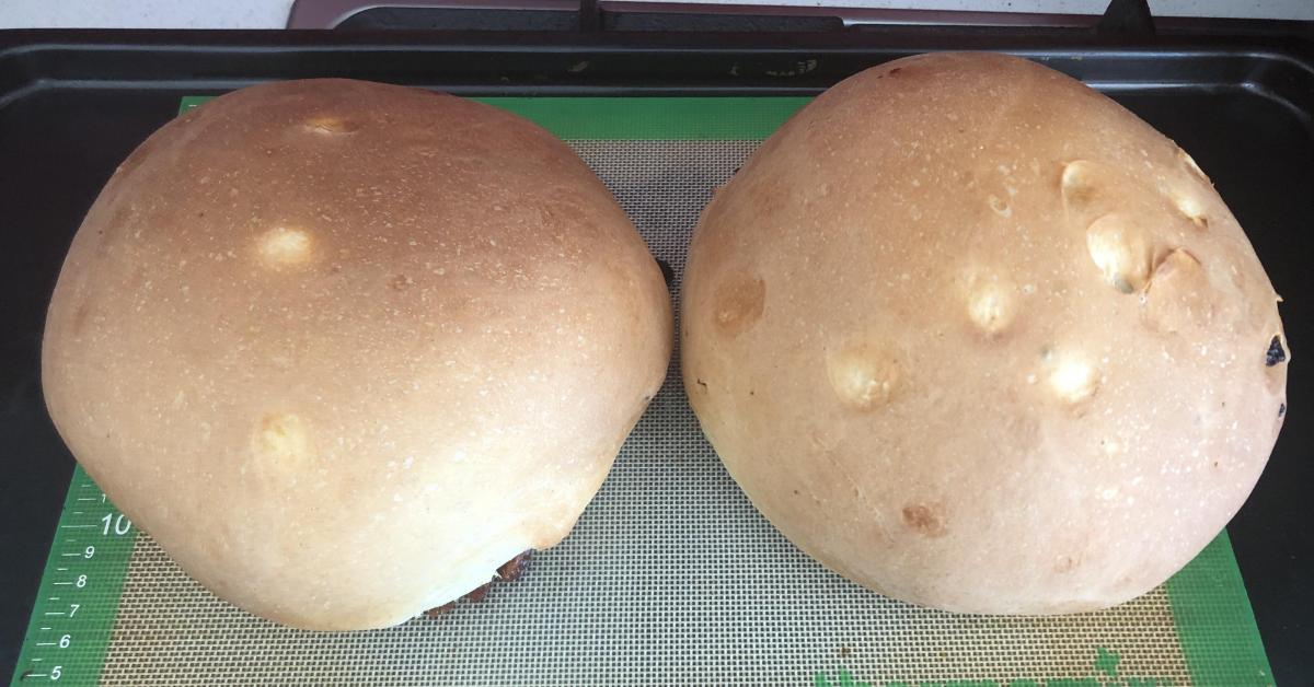 Boston Bun by Naomigiblin. A Thermomix ® recipe in the category Baking ...